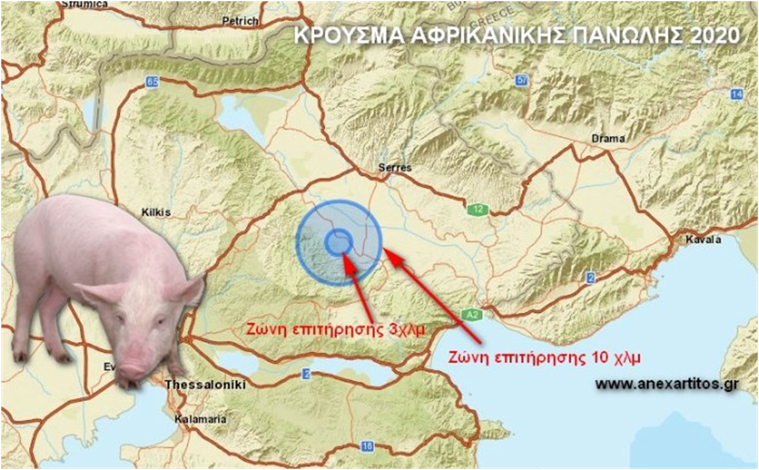 Δύο ζώνες προστασίας γύρω από το σημείο που εμφανίστηκε κρούσμα ...